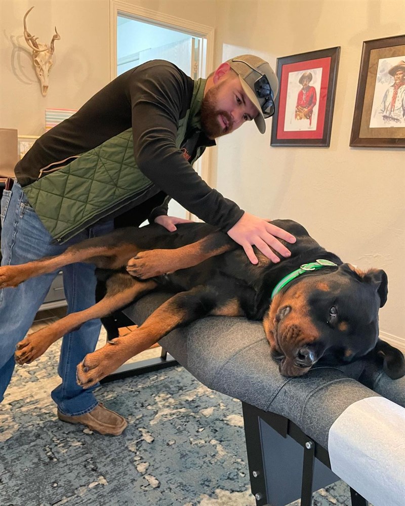 世界唯一動物整骨師 馬、狗、蛇都是他客戶